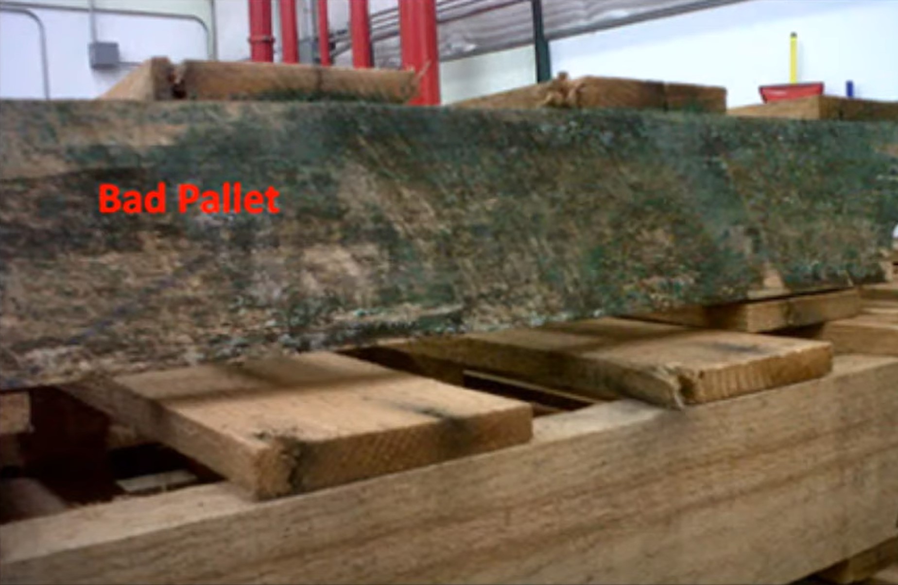 Is It Cheaper To Build or Buy a Shed? [What You Need To Know First ...